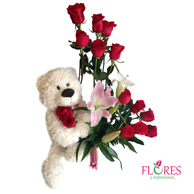 Imagenes De Rosas Con Osito